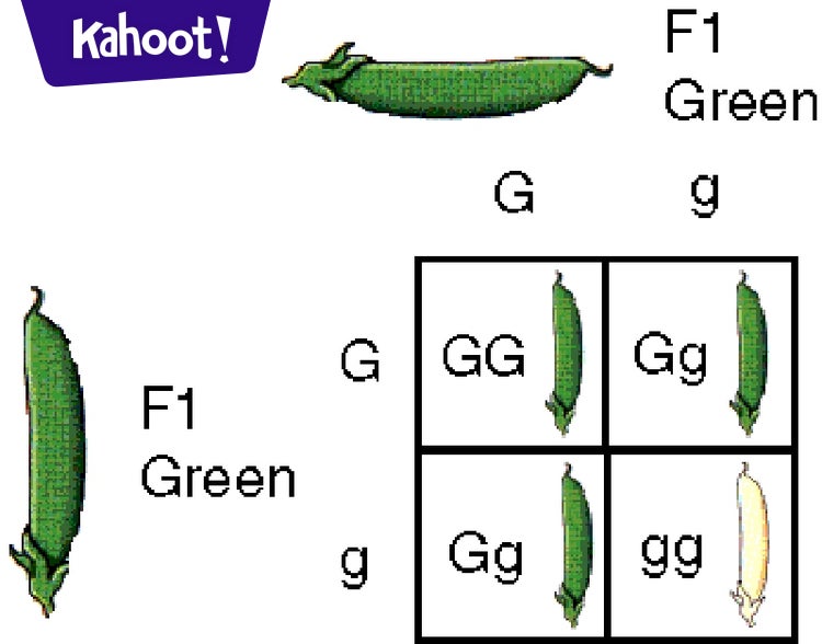 Mendelian and non-Mendelian Genetics - Kahoot! Quiz
