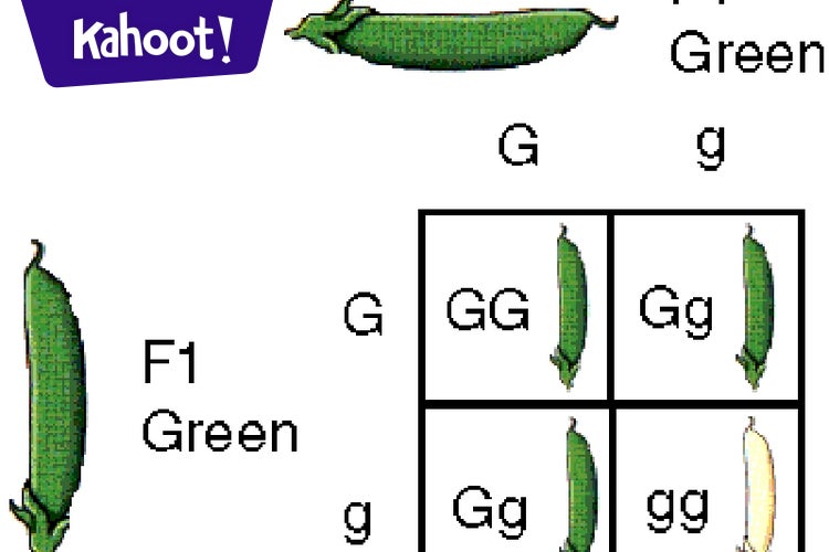 Genetics - Kahoot! Quiz