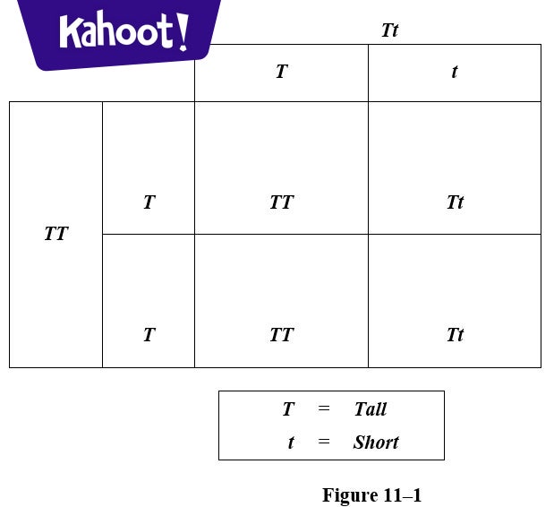 Unit 4.3 Meiosis and Fundamentals of Genetics Kahoot Review Game ...
