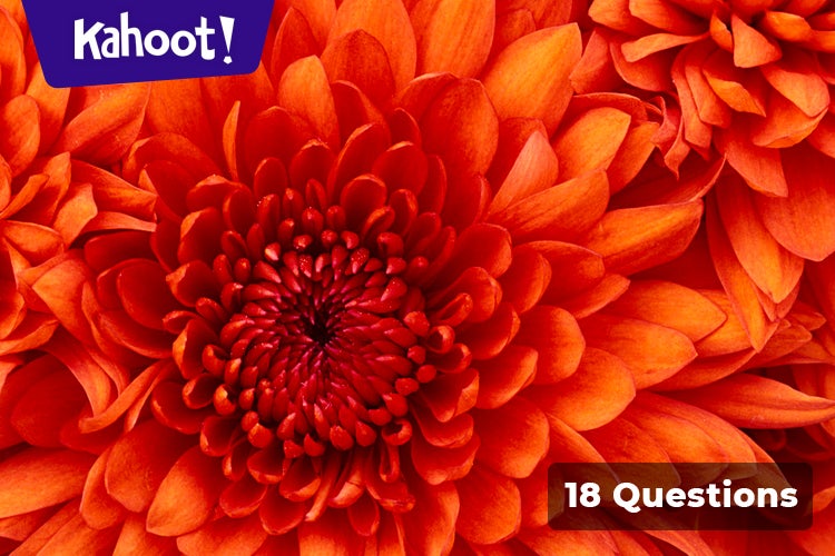 Plant Unit SOL 4.4 Review - Kahoot! Quiz