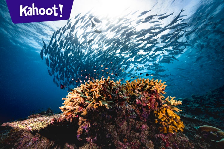 Ecosystems - Kahoot! Quiz