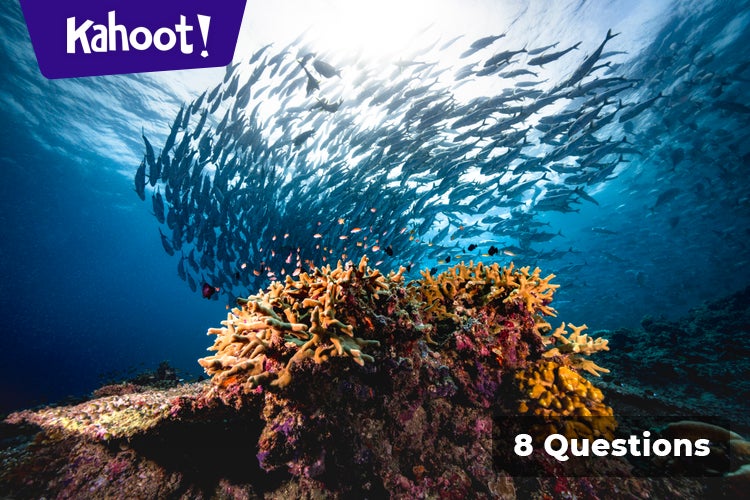 Ecosystems: Life's big picture - Kahoot! Quiz