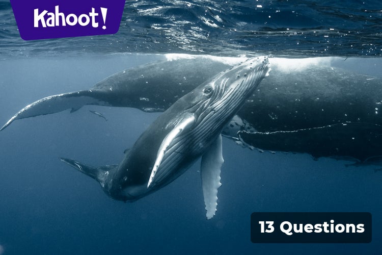 Unit 4 Hop! Vocabulary - Kahoot! Quiz