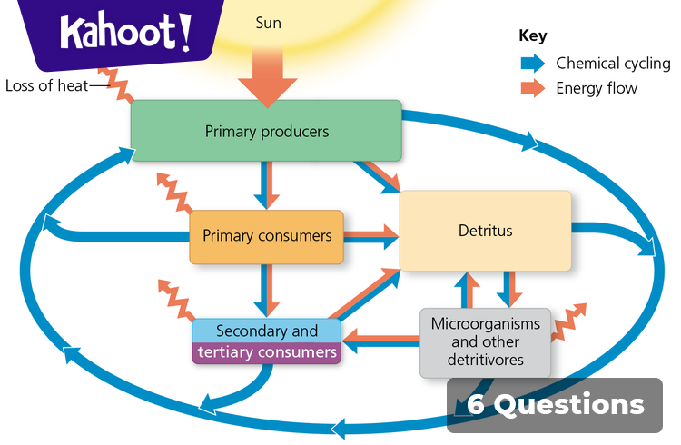 Ecology: Levels of Organization - Kahoot! Quiz