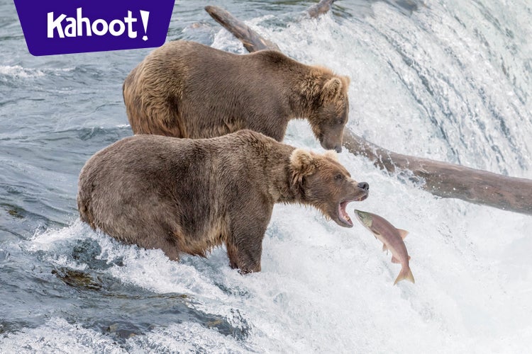 Who Eats What? Predator Prey - Kahoot! Quiz