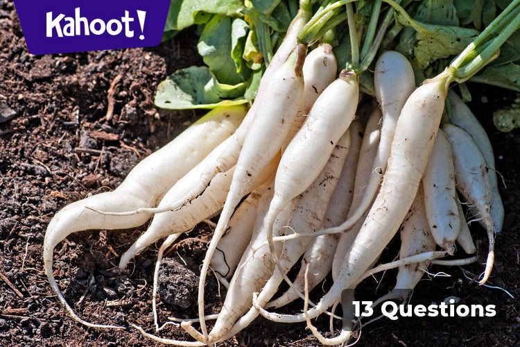 Plant roots (2) and stem - Kahoot! Quiz