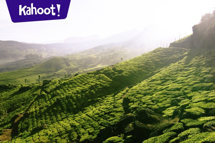 The Great Green Wall - Kahoot! Quiz