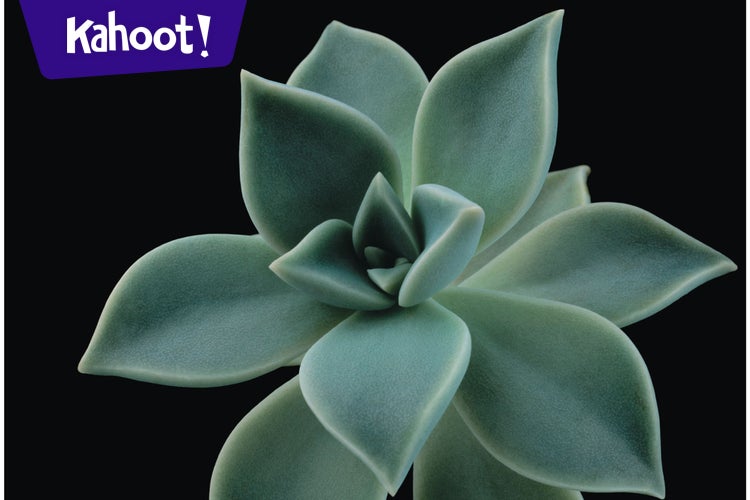 AP Biology Chapter 24: The Origin of Species - Kahoot! Quiz