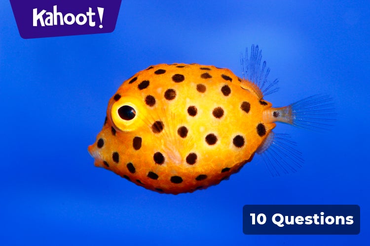 Fish: Fins, Scales, and Gills - Kahoot! Quiz