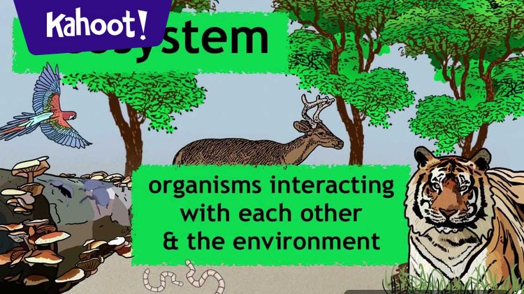 Ecosystem (Review) - Kahoot! Quiz