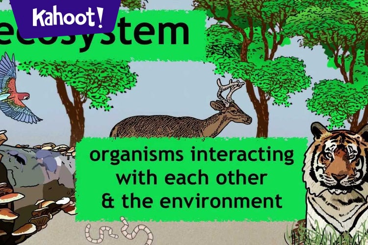 2020-2021 Ecosystems Final Review (Science 7) - Kahoot! Quiz