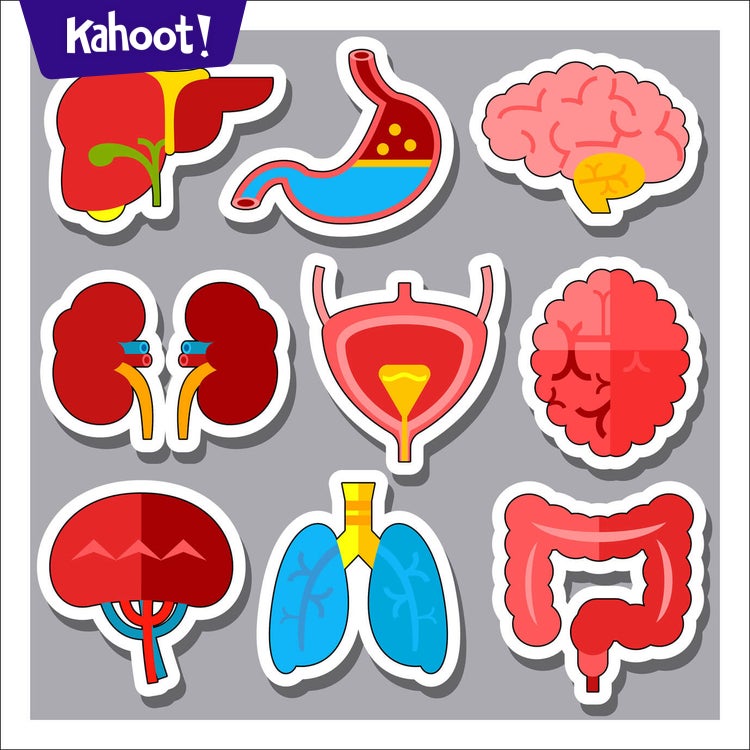 Natural Science - Kahoot! Quiz