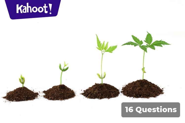 All About Plants!! - Kahoot! Quiz
