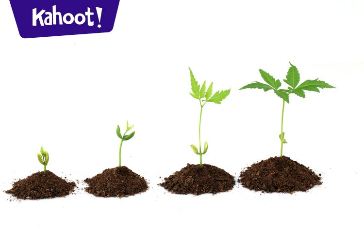 Plants Unit Review - Kahoot! Quiz