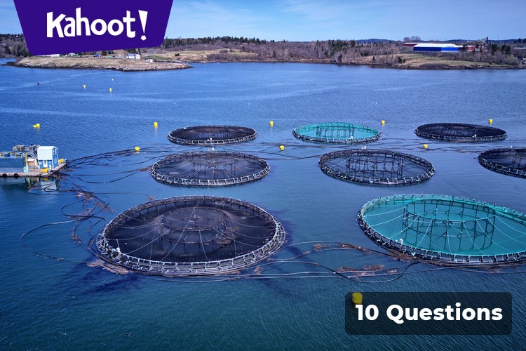 Earth Science: Ocean Resources - Kahoot! Quiz