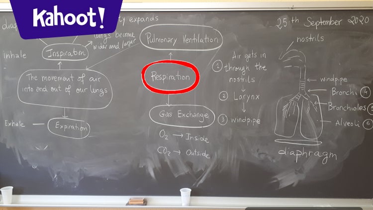 Nutrition (Review) - Kahoot! Quiz