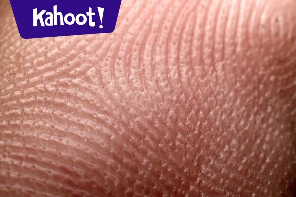 Integumentary system - Kahoot! Quiz