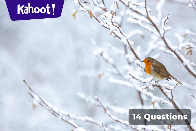 Did you know..? Winter Celebrations Around The World Quiz for Kids ...