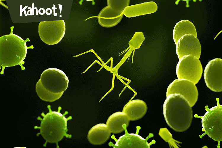 Bacteria/Virus/Fungi/Plant - Kahoot! Quiz