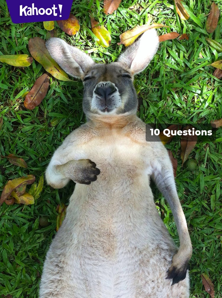 Grade 2 Fun Animal Kingdom - Kahoot! Quiz