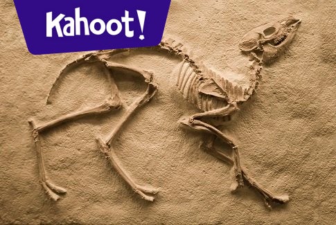 Fossils Reading Quiz - Kahoot! Quiz