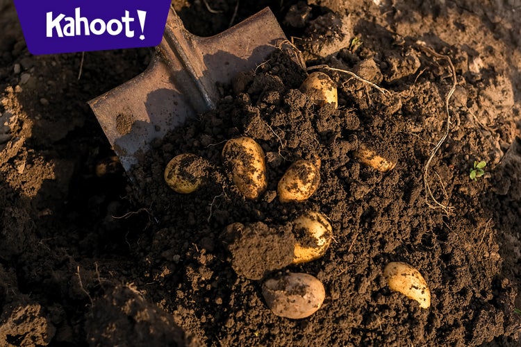 Plant Cells & Cellular Organization - Kahoot! Quiz