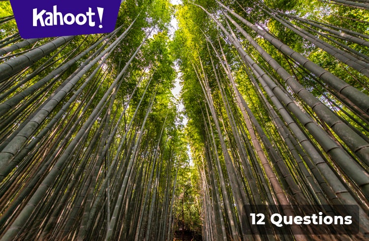 Exploring Plant Adaptation with Eden Project - Kahoot! Quiz