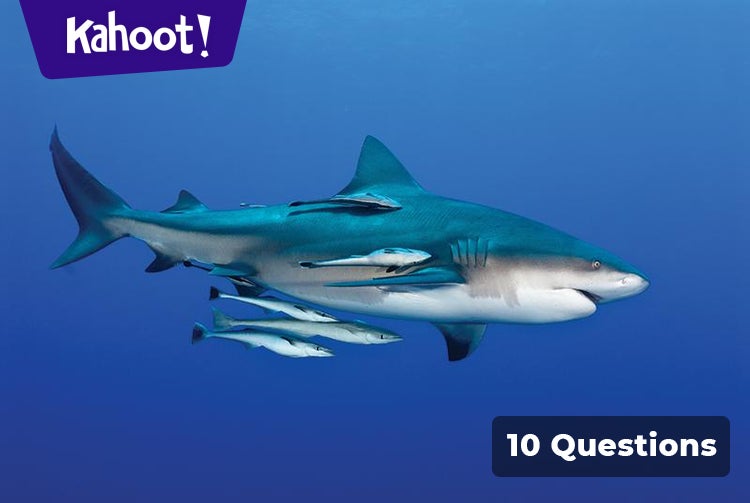Interactions Within Ecosystems 7A - Kahoot! Quiz