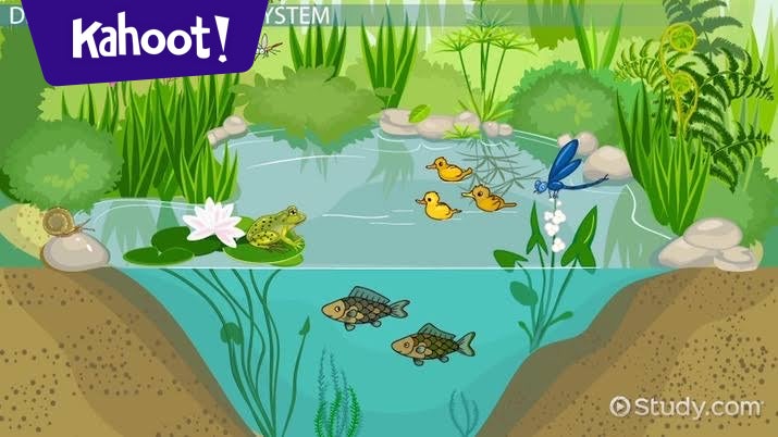 Year 8 Biomes - Kahoot! Quiz
