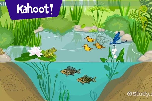 Year 8 Biomes - Kahoot! Quiz