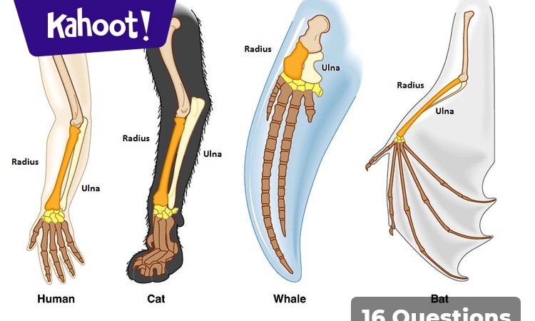 16.4 - Evidence of Evolution - Kahoot! Quiz