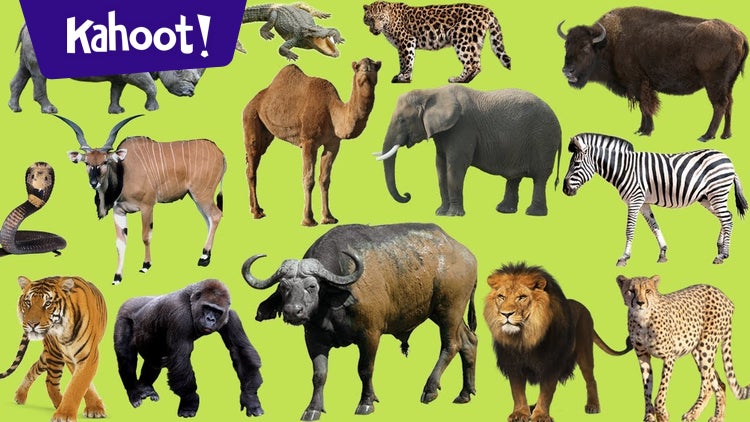 Introduction to Animals - Kahoot! Quiz