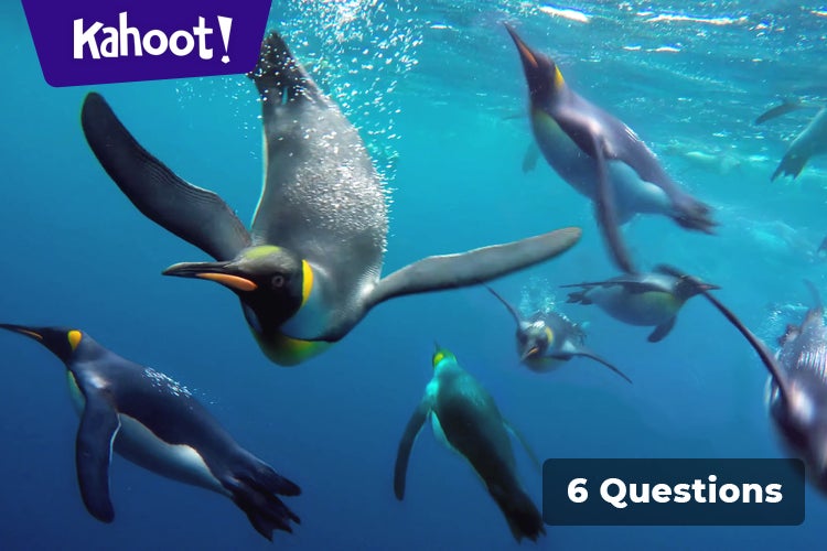Recycled skateboards, metal boxes fight climate change, and penguins ...