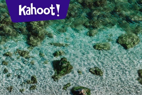 Porpoises in Peril Vocabulary - Kahoot! Quiz