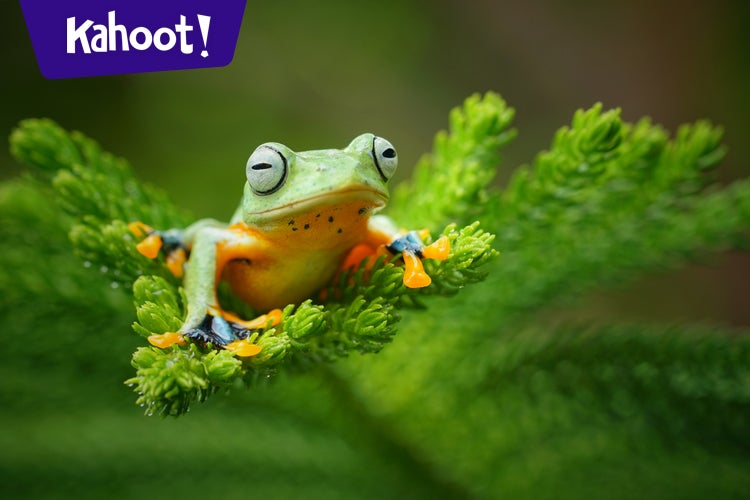 Year 9 Science - Ecosystems and Organisms - Kahoot! Quiz