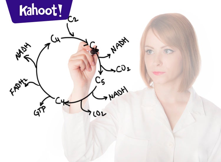Duplicate of Bio C1.2 Cell Respiration SL & HL - Kahoot! Quiz