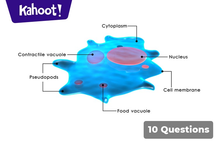 Cell Structures & Functions (SI) - Kahoot! Quiz