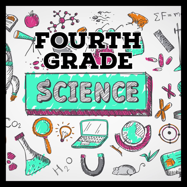 4th Grade Science Kahoots - Kahoot! Course