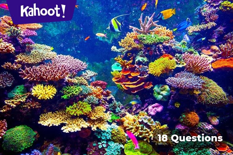 DIFFERENCES AMONG MARINE ANIMALS - Kahoot! Quiz
