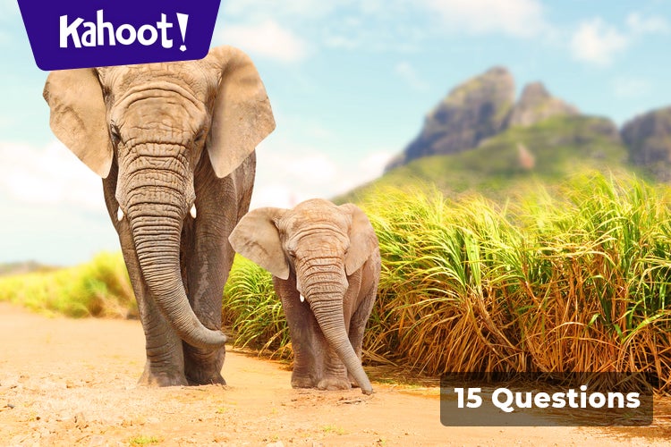 Animal Facts - Kahoot! Quiz