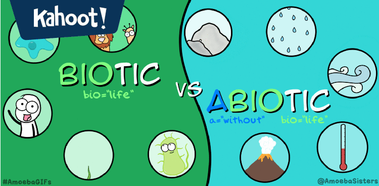 Ecology Unit Review - Kahoot! Quiz
