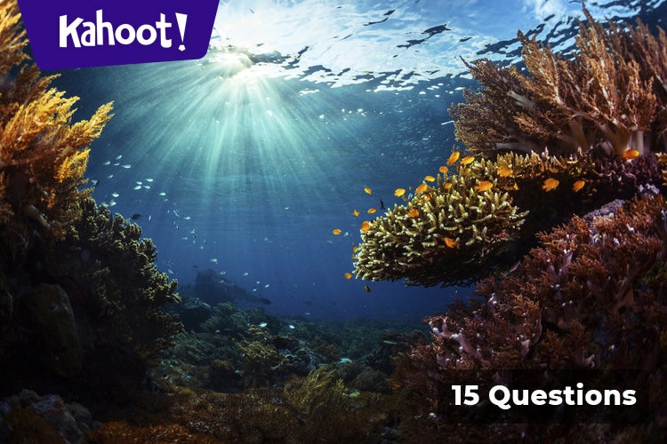 Fishing: all about life and livelihoods - Kahoot! Quiz