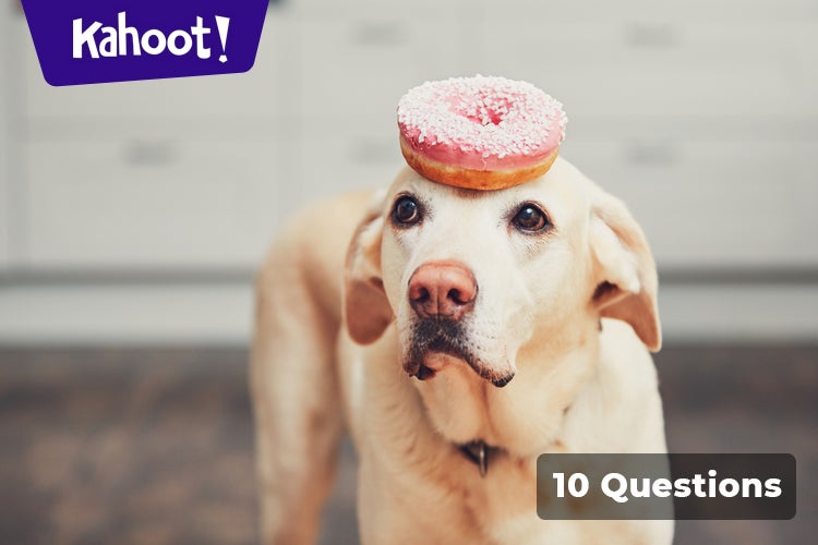 Final Y spelling rule - Kahoot! Quiz