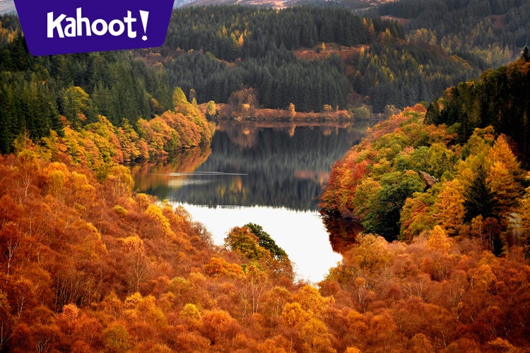 Español 4 Vocabulario Unidad 1 (Expresivo) - Kahoot! Quiz