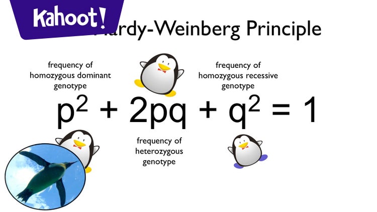 Evolution Unit Review (Ch 16 & 17) - Kahoot! Quiz