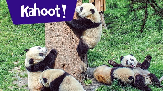Panda Kindergarten - Kahoot! Quiz