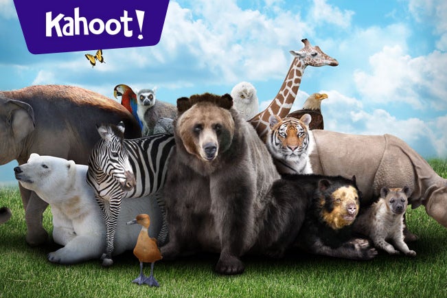 Duplicate of Animals! - Kahoot! Quiz