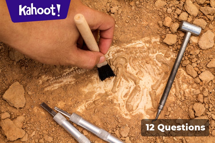 Fossils Open House - Kahoot! Quiz