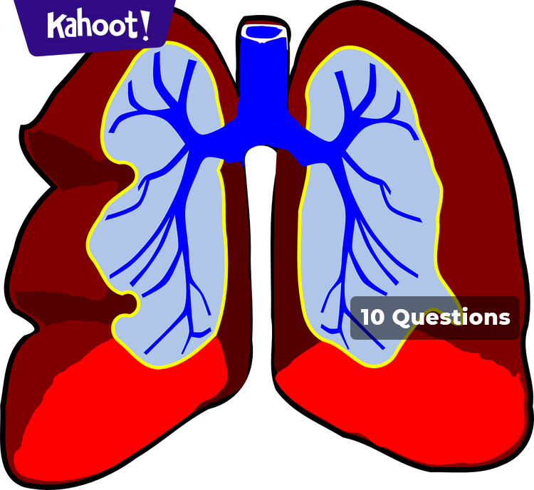 Respiratory System - Kahoot! Quiz