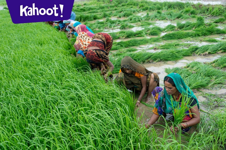 Duplicate of APHG Unit 5- Agriculture - Kahoot! Quiz